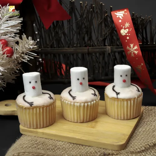 CH.Snowman | Trái cây Vuông Tròn