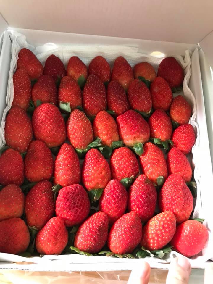 Dâu Đà Lạt là gì?Tìm hiểu về nguồn gốc và đặc điểm của dâu Đà Lạt ...